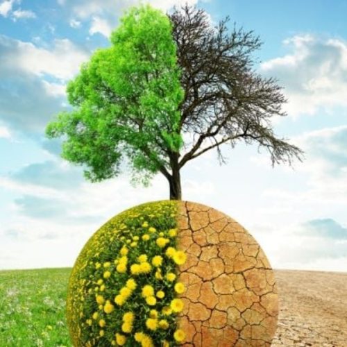 International Climate Protection Fellowship Program - Opportunities Now ...